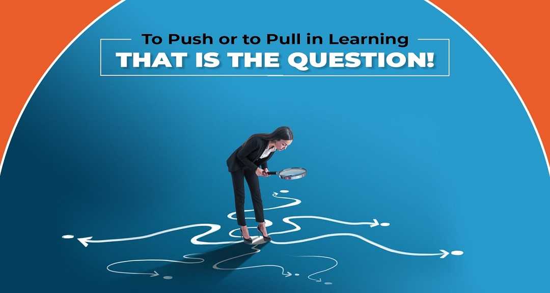 Curiosity to Learn Leads to the Sustained Popularity of LMS: Push vs. Pull